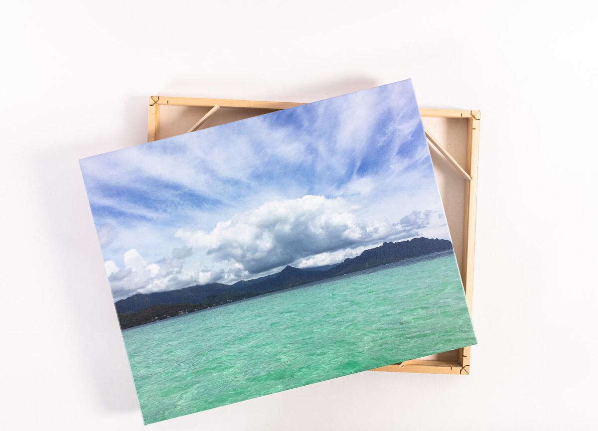 Quick & Affordable Ready to Hang Canvas Prints