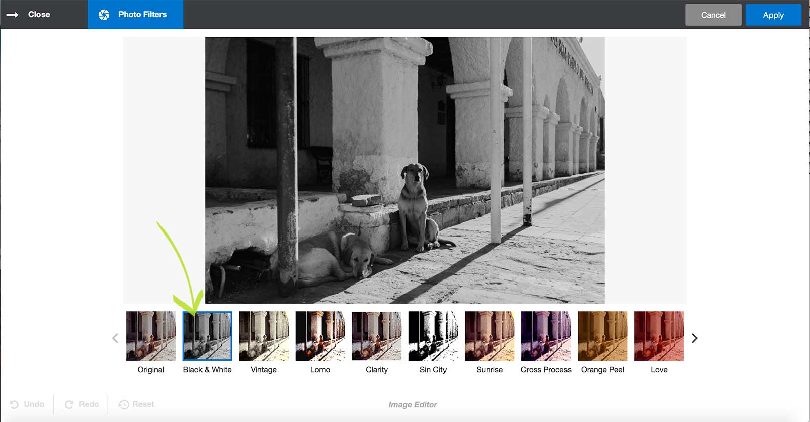 Photo Editor • Persnickety Prints