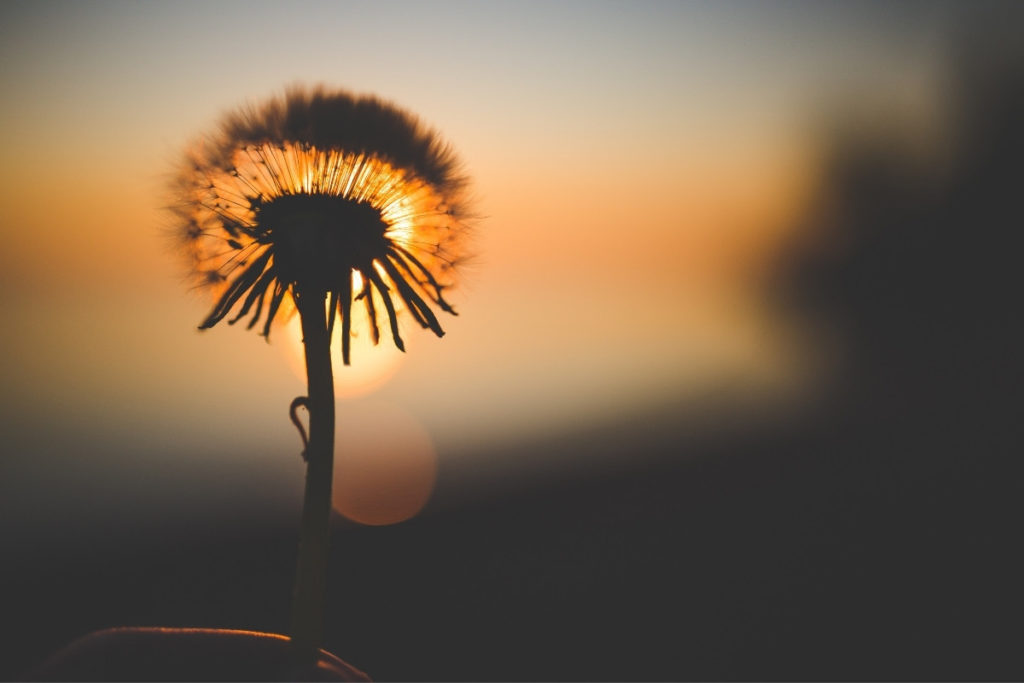 3 Tips to Rock Your Summer Photos