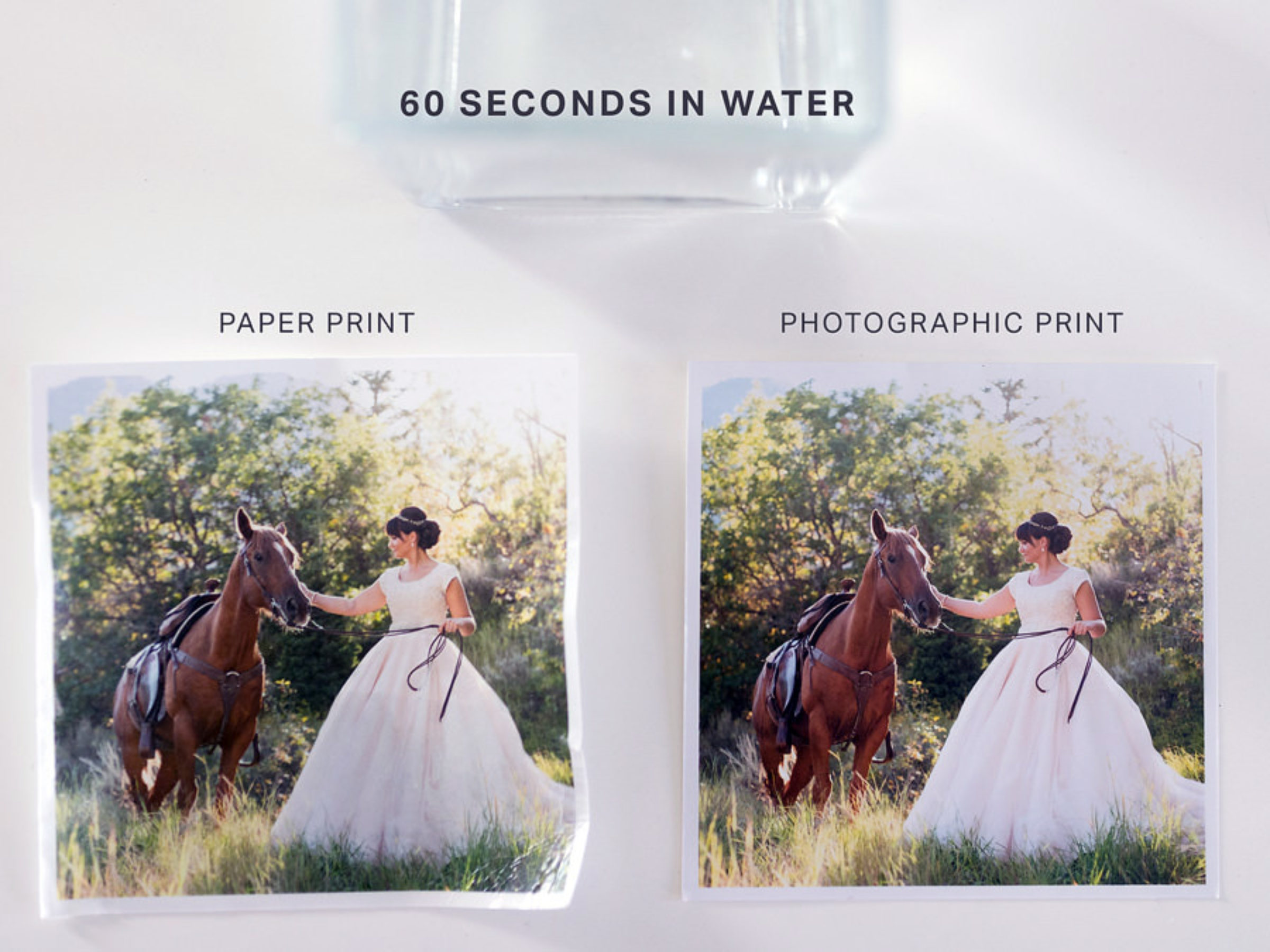 Our Premium Paper • Photographic Printing