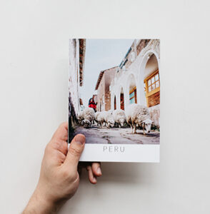 Persnickety Prints: Fussy about the small details